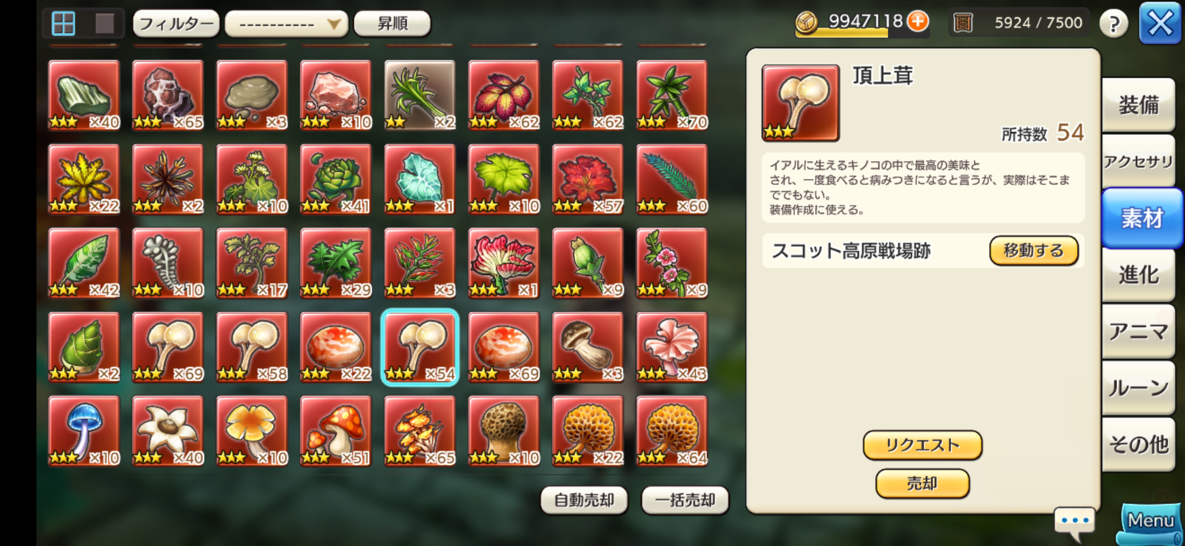 気まぐれ日記『気づいたこと』 | CARAVAN STORIES (キャラバンストーリーズ) マスターズサイト