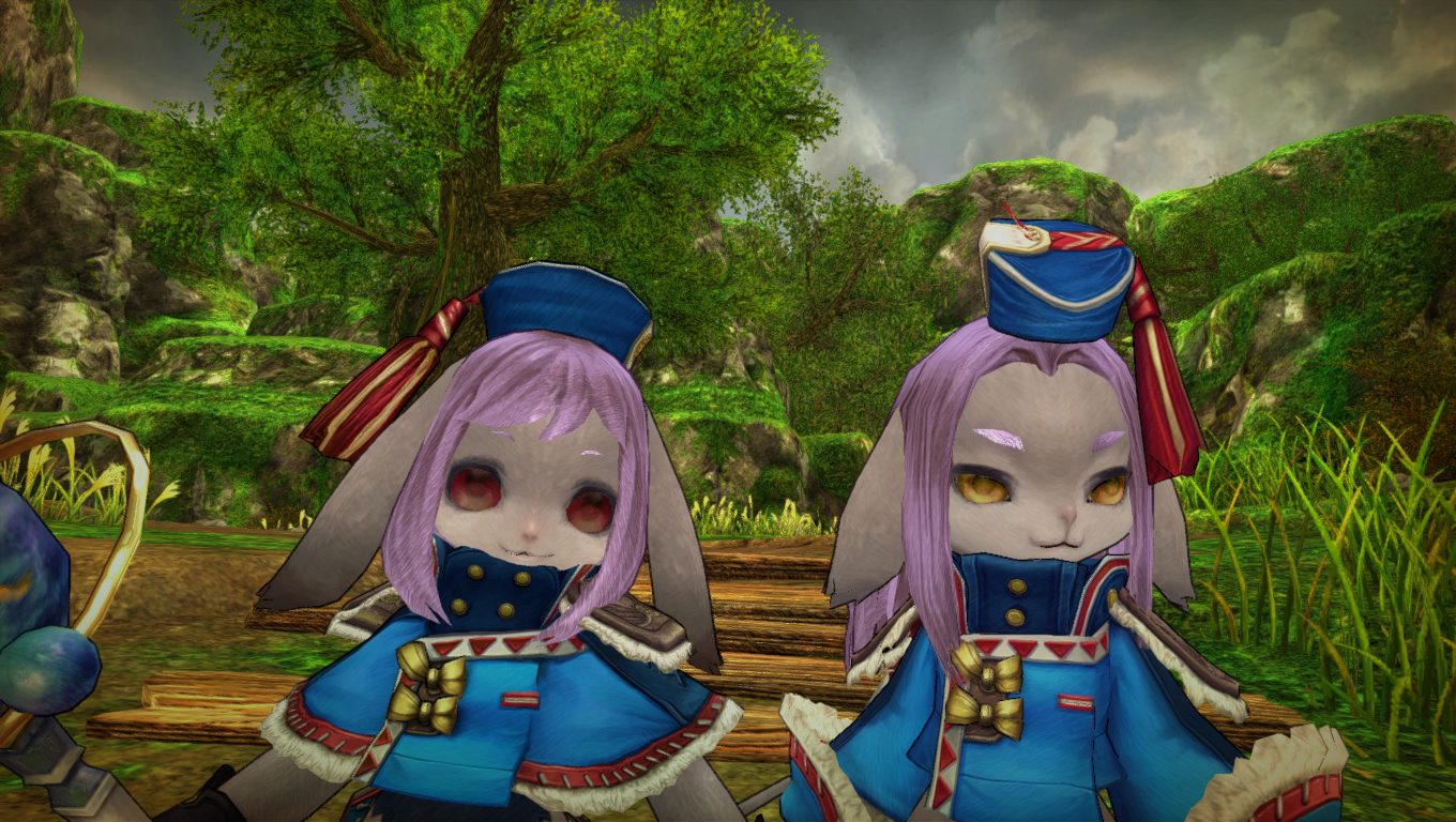 可愛いというより美しい | CARAVAN STORIES (キャラバンストーリーズ) マスターズサイト